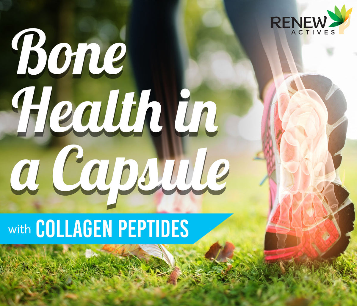 Collagen: Bone Health in a Capsule – Renew Actives CA