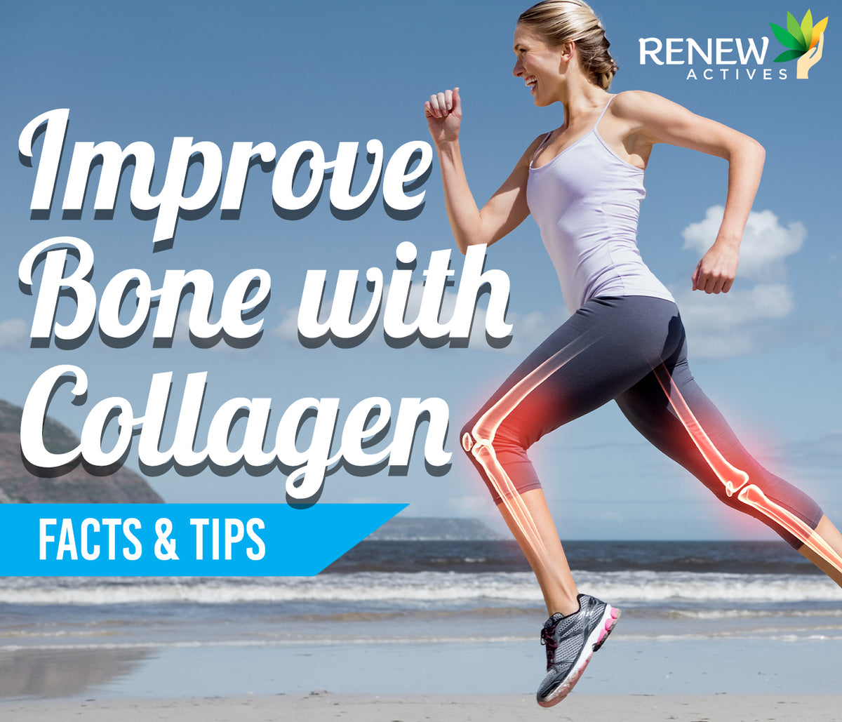 Improve Bone Health with Collagen – Renew Actives CA
