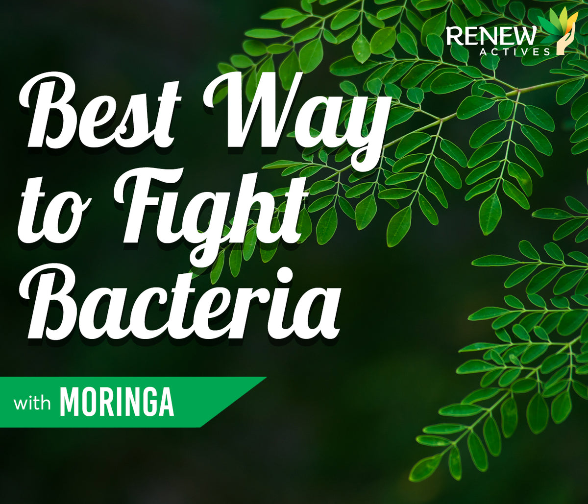 What’s the Best Way to Fight Bacteria? – Renew Actives CA