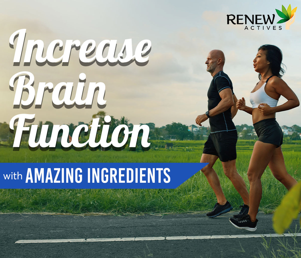 Increase Brain Function with these Amazing Ingredients – Renew Actives CA