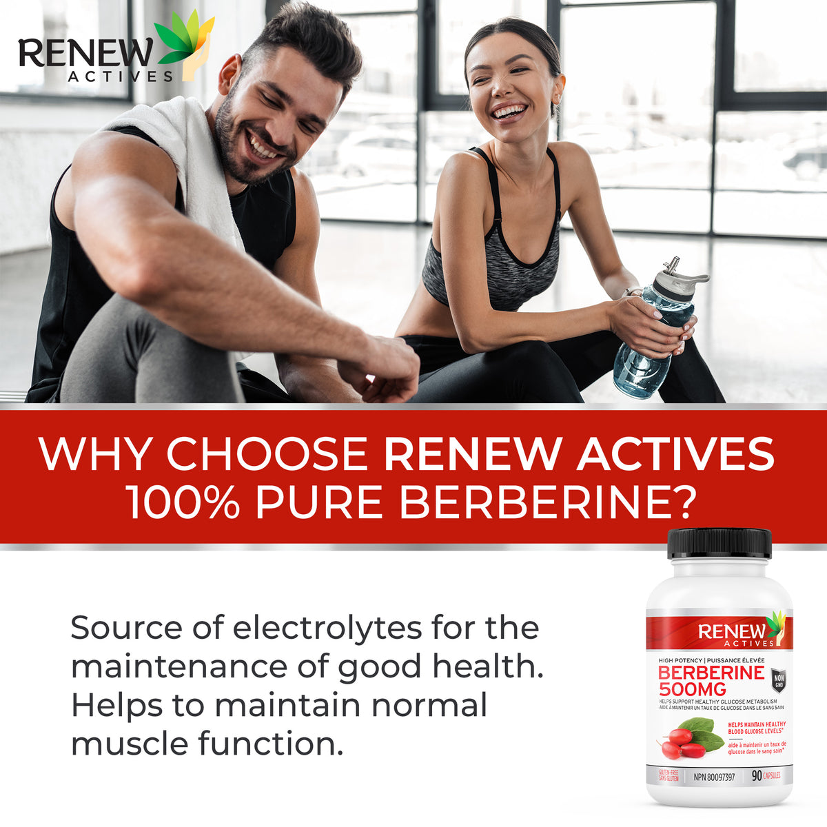 Renew Actives High Potency Berberine 500mg - 90 Capsules – Renew Actives CA